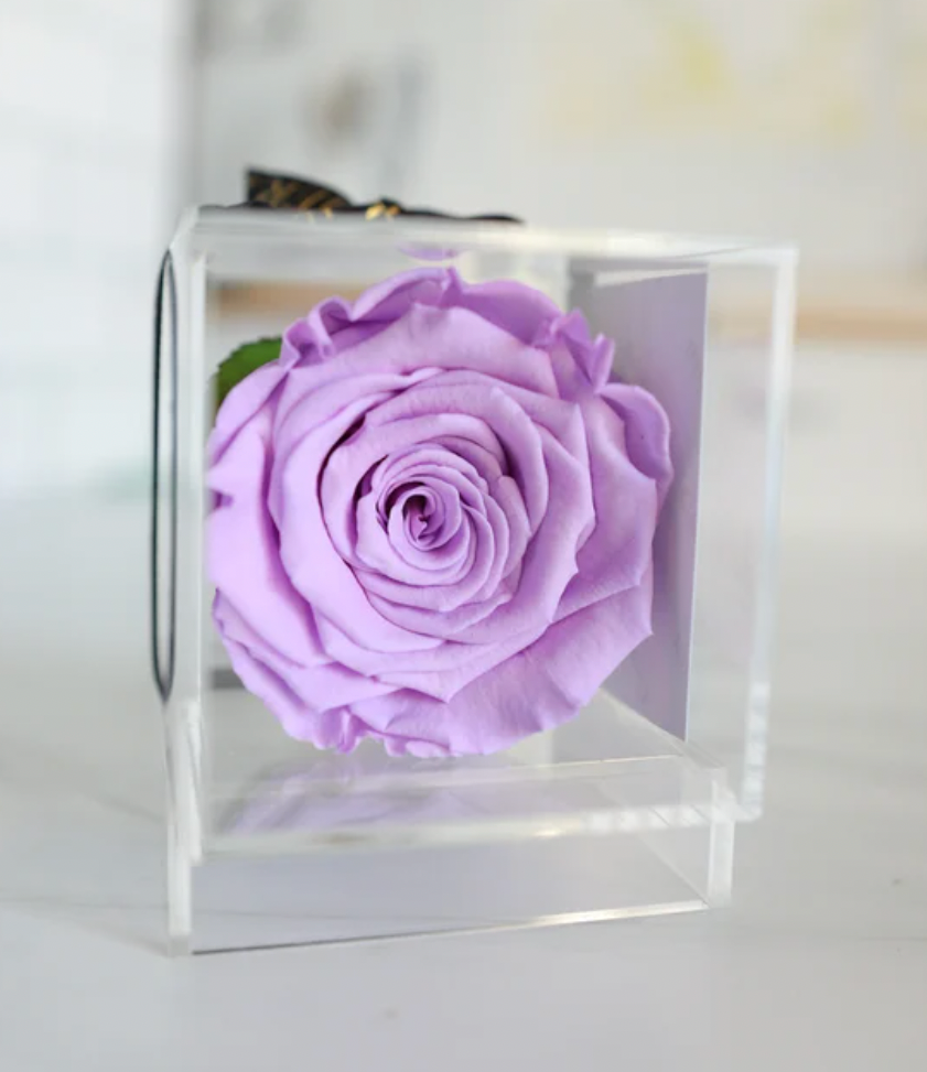 Forever Roses – Rhoslyn Florist